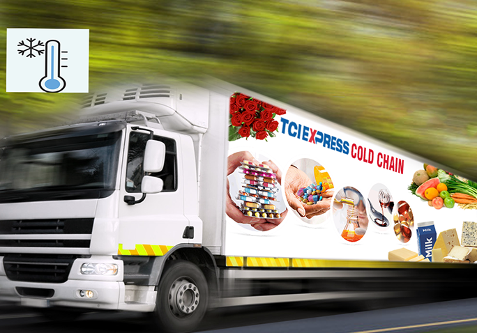 Cold Chain Logistics | Cold Chain Transportation | Top 10 Logistics ...